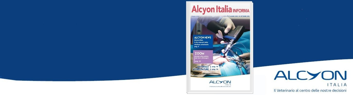 AlcyonStore